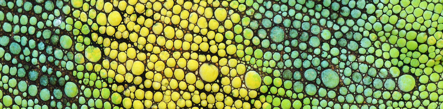 Clarivate